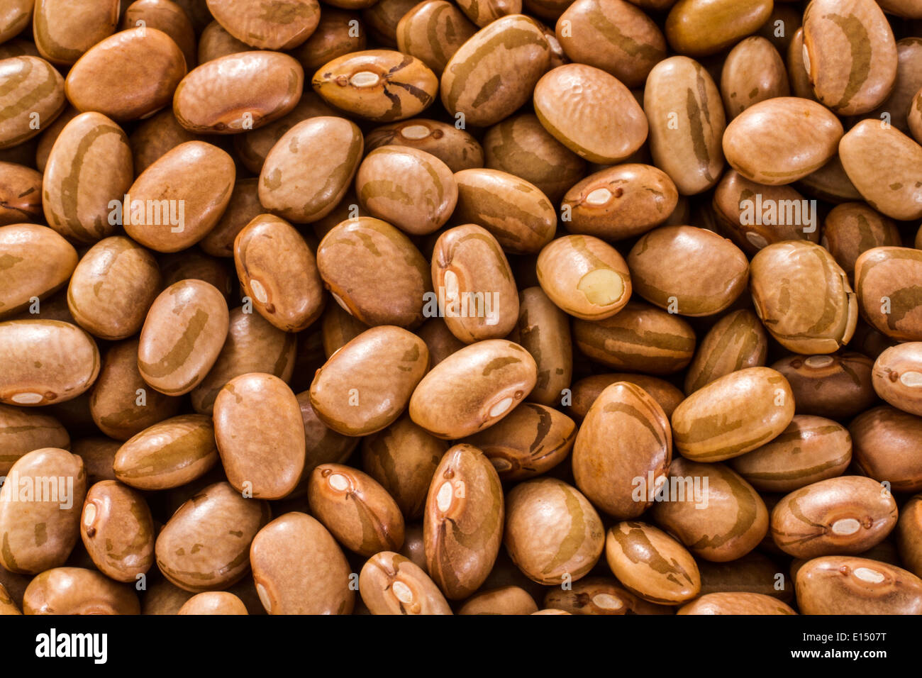 Uncooked pinto beans. Florianopolis, Santa Catarina, Brazil Stock Photo ...