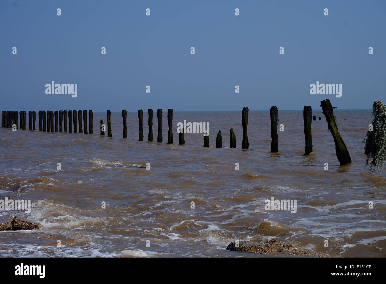 Groynes in a line in the sea Stock Photo - Alamy