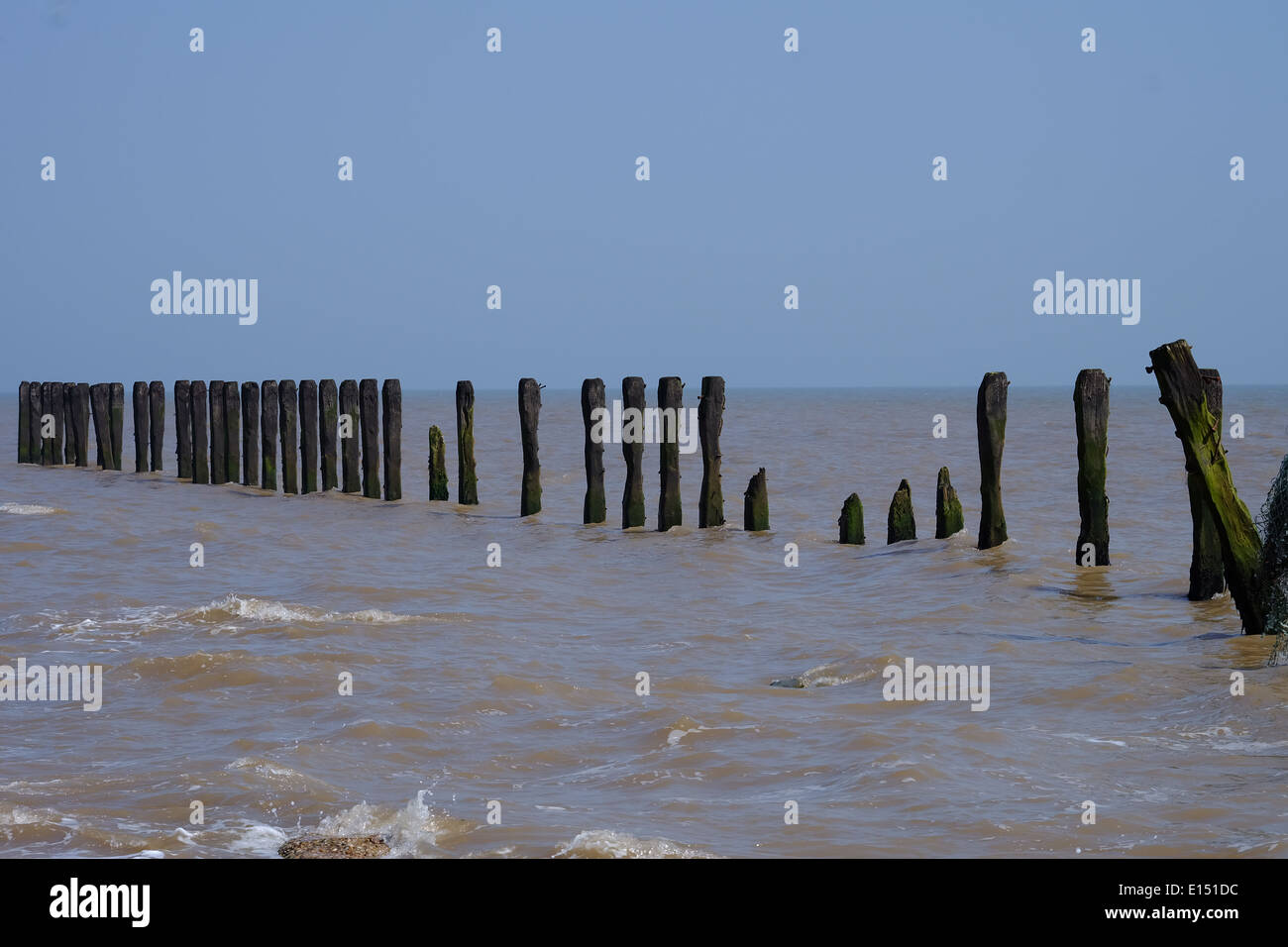 Groynes in a line in the sea Stock Photo - Alamy