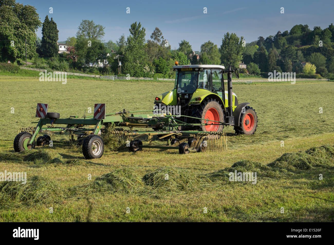 Tractor "rowing up" already cut grass for drying for silage in field in ...