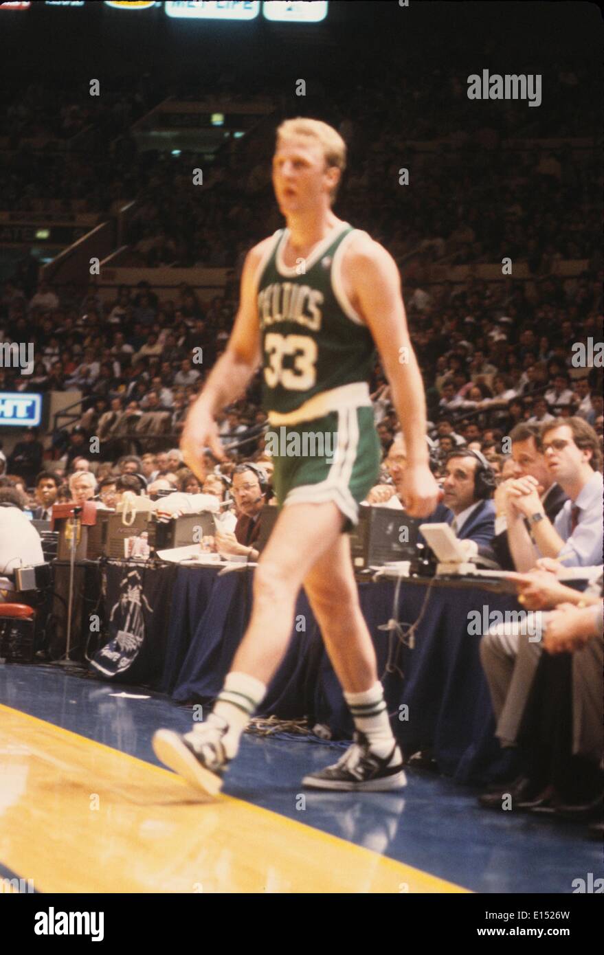 Connor Bird Basketball