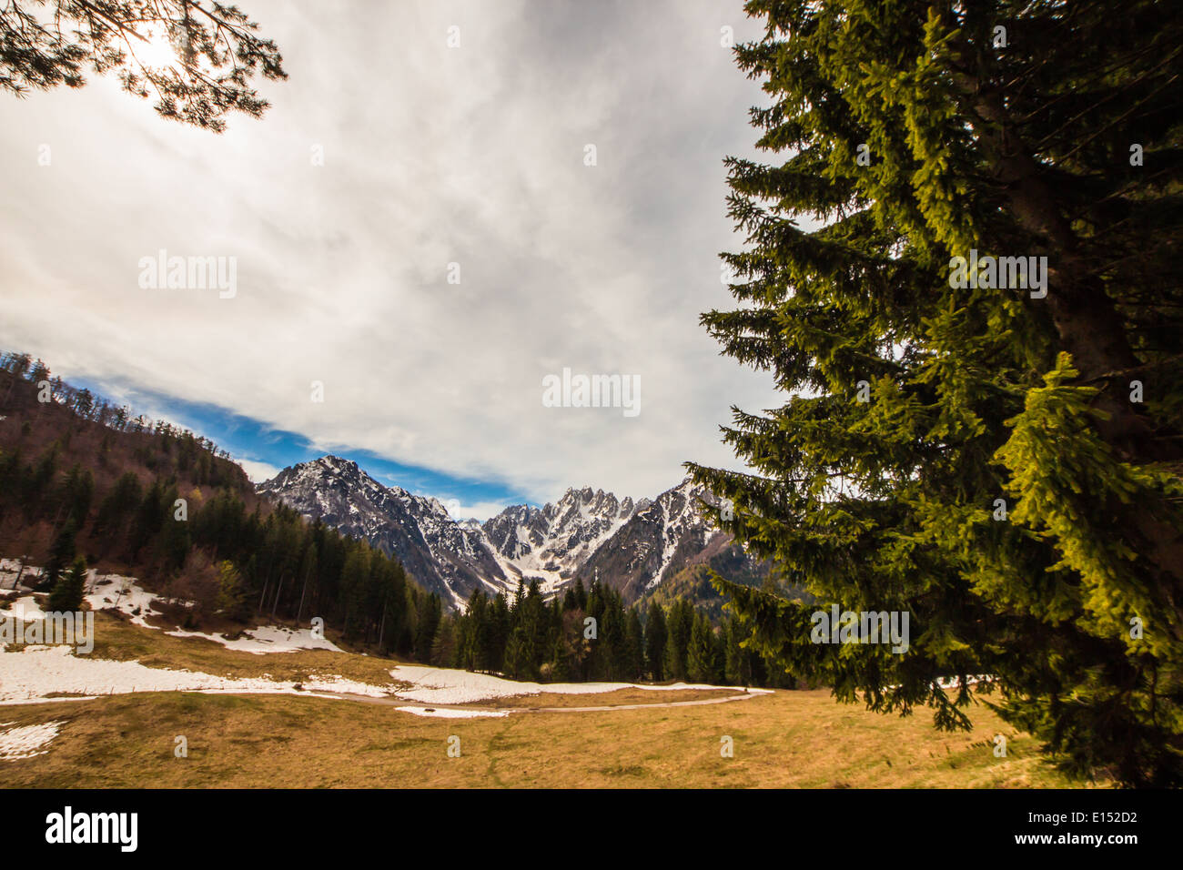 a mountain meadow in a spring morning Stock Photo - Alamy