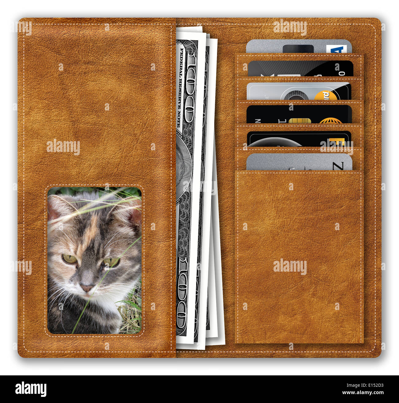 Wallet containing American Dollars and credit cards, with a female pet ...