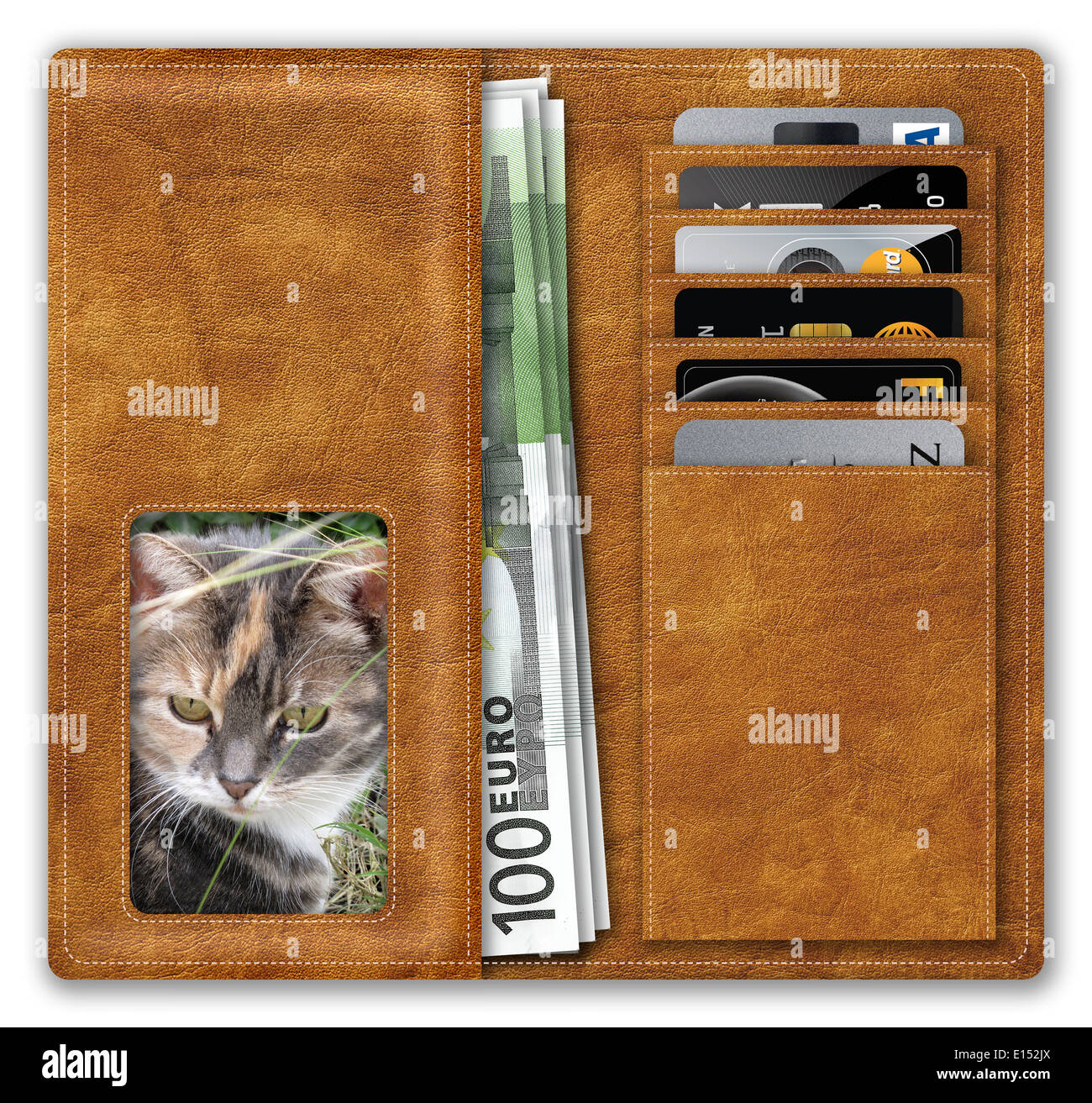 Money cat hi-res stock photography and images - Alamy