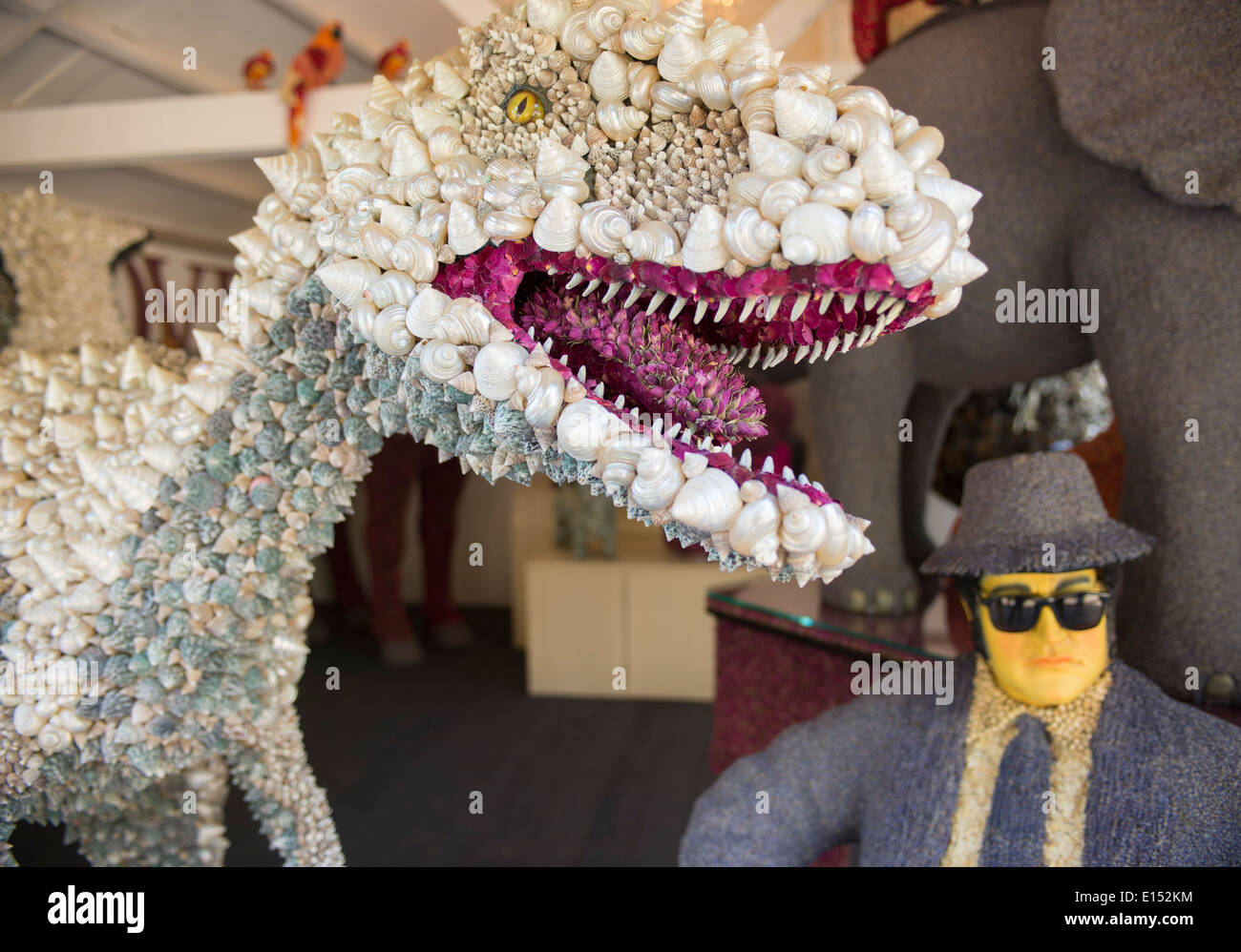 Dinosaur made from shells hi-res stock photography and images - Alamy
