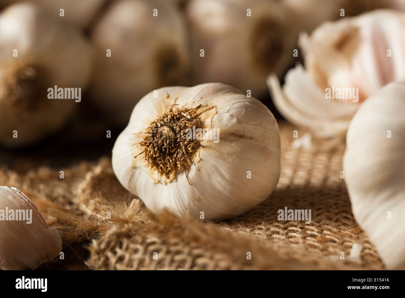 Fresh garlic garlic bulb hi-res stock photography and images - Alamy