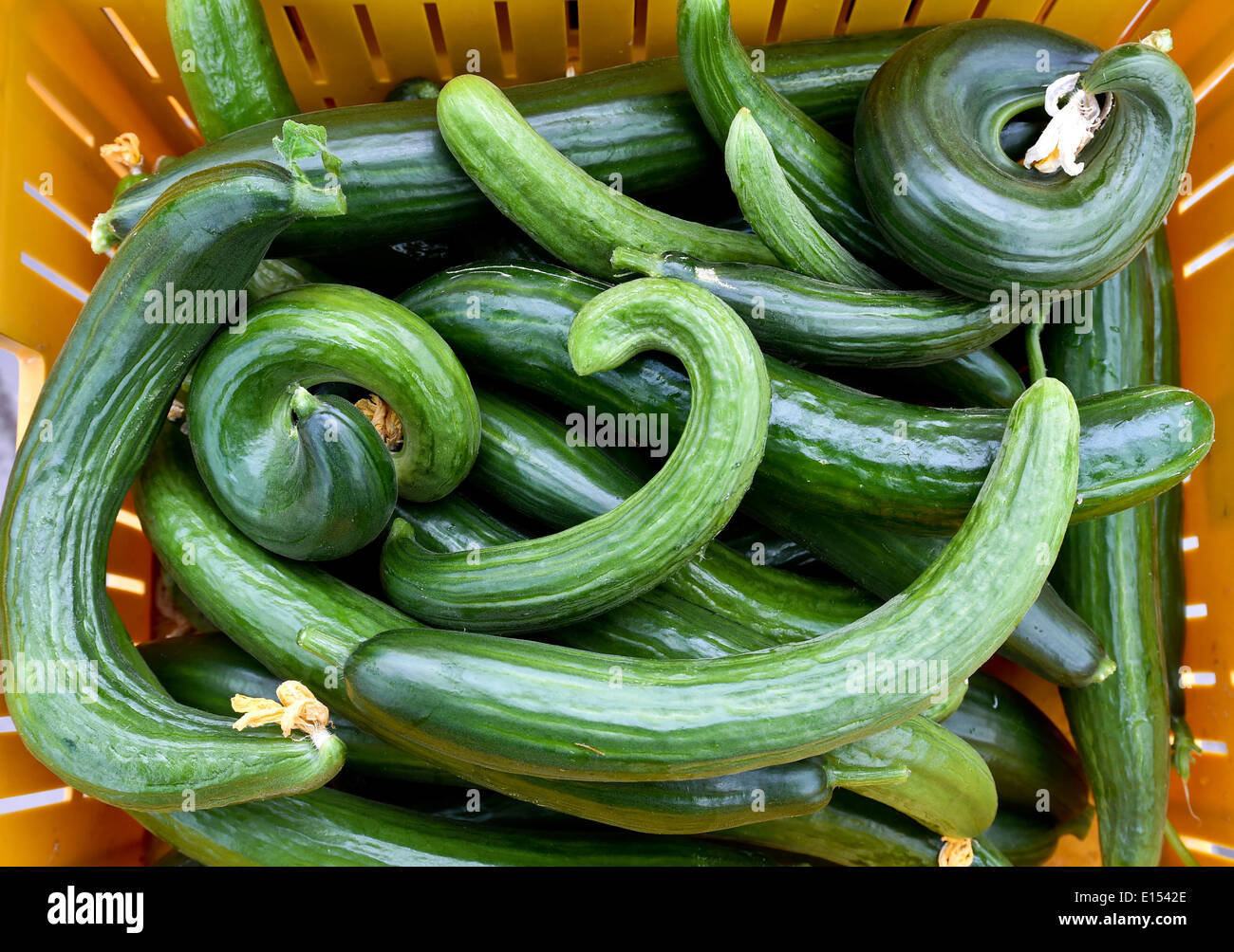 Crooked cucumbers hi-res stock photography and images - Alamy