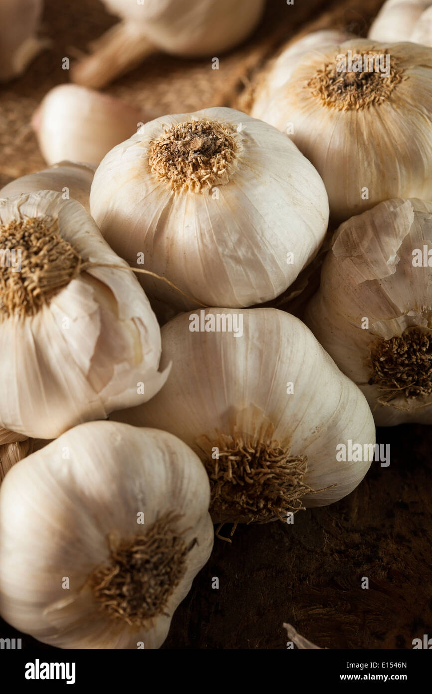 Fresh garlic garlic bulb hi-res stock photography and images - Alamy