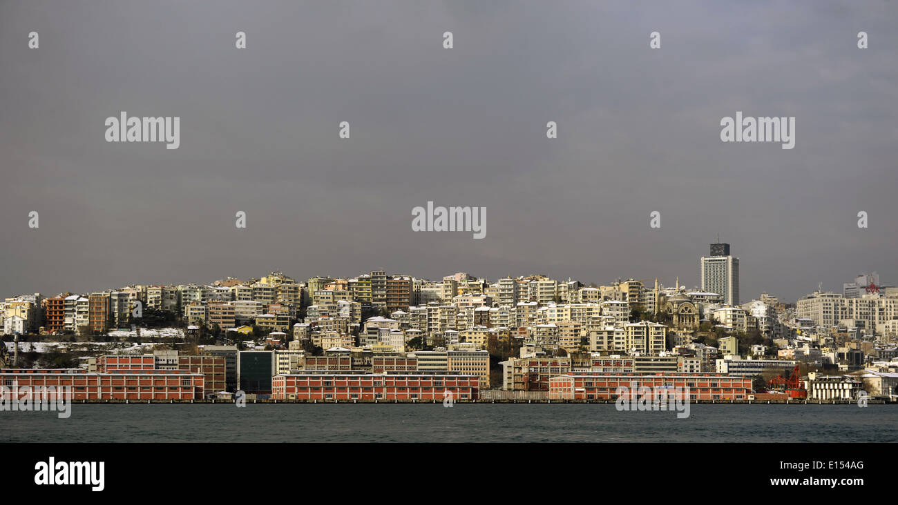 European turkey hi-res stock photography and images - Alamy