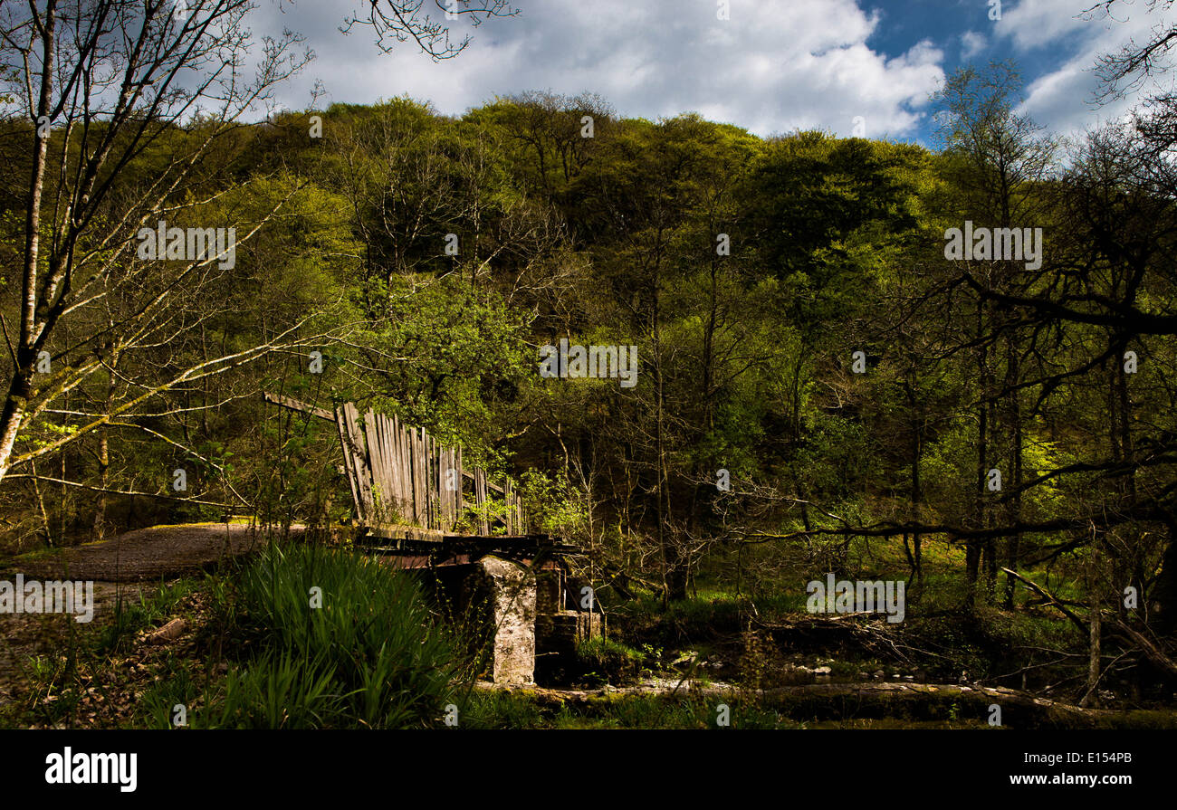 Rickety bridge over River Barle with woodland in background Stock Photo ...