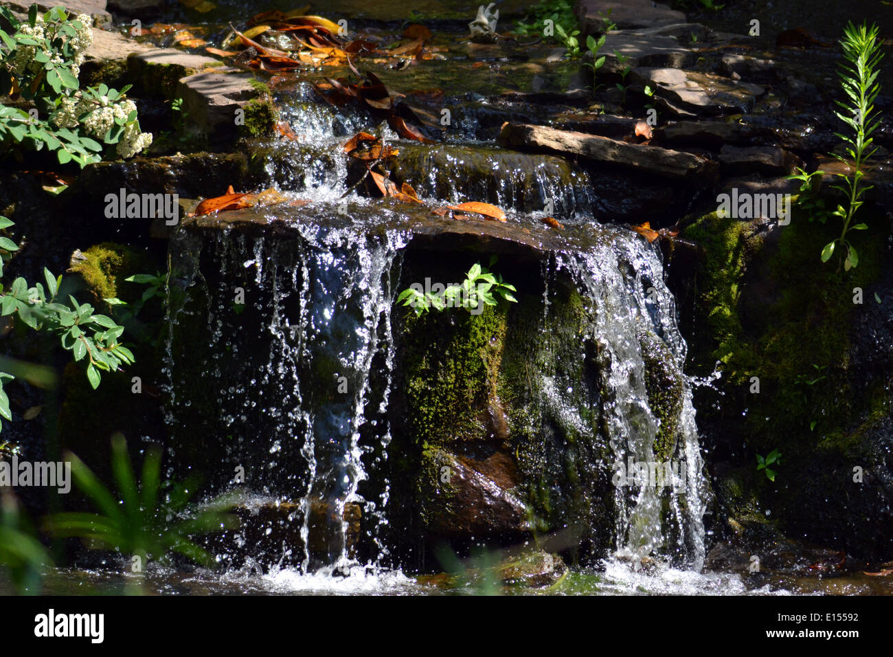 A small waterfall Stock Photo - Alamy