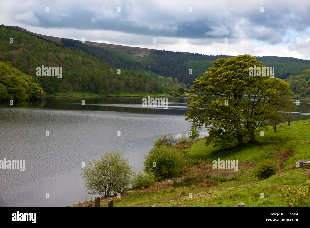 Derwent Water reservoir Derbyshire UK Stock Photo - Alamy