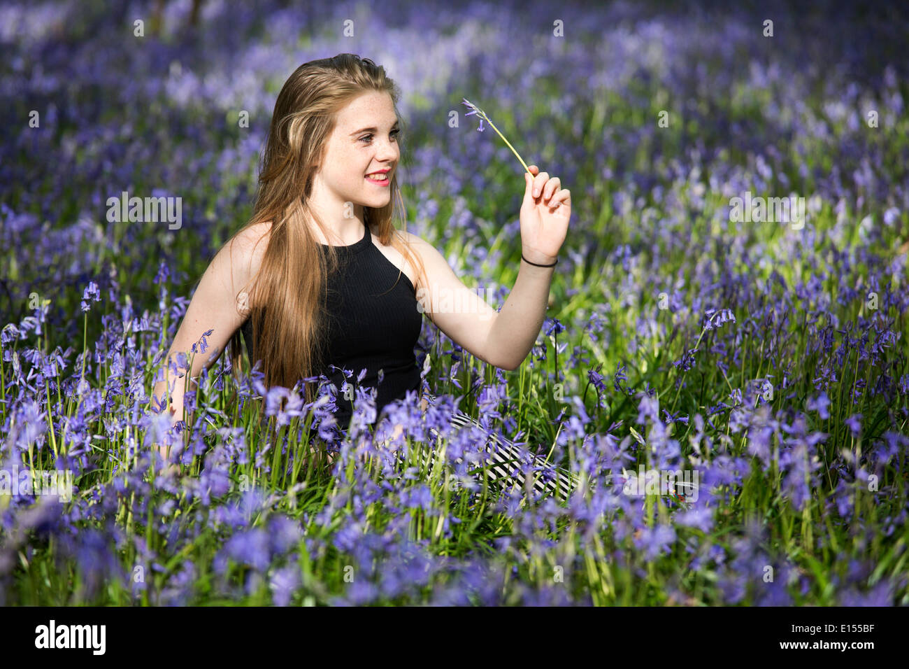 Merevale hi-res stock photography and images - Alamy
