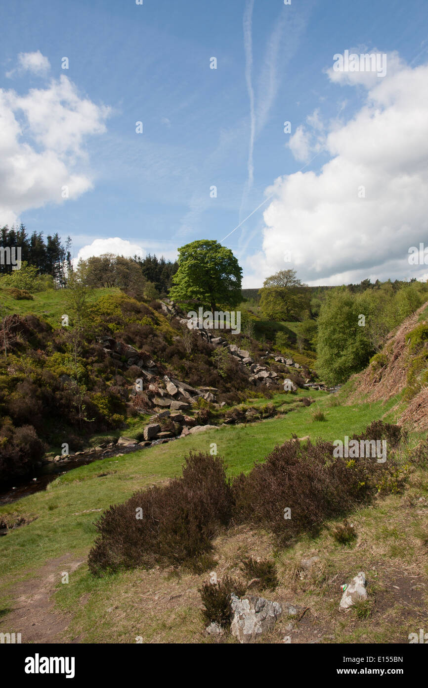 Goyt Valley Derbyshire UK Stock Photo - Alamy