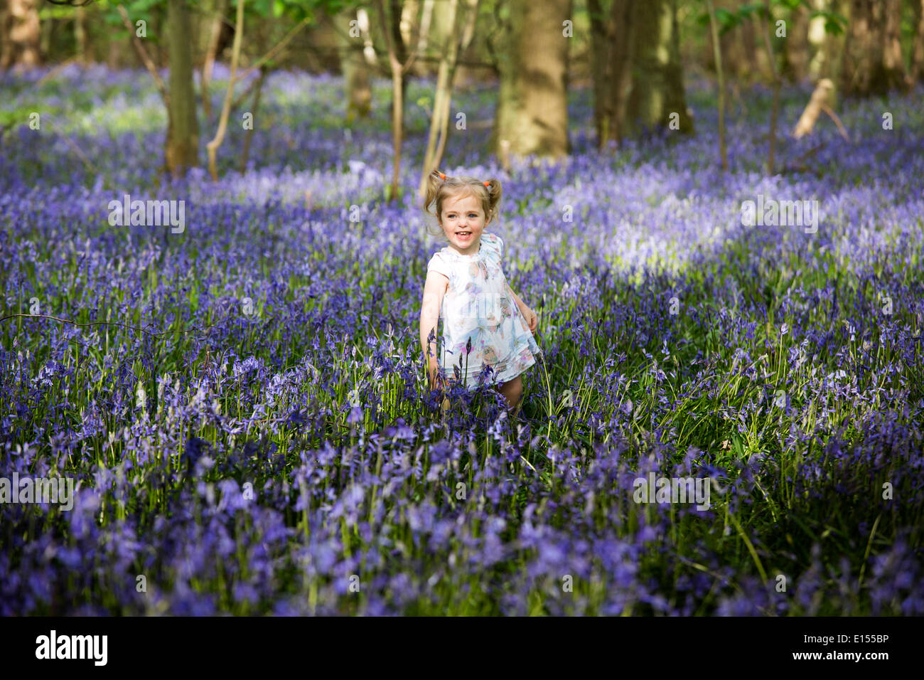 Merevale hi-res stock photography and images - Alamy