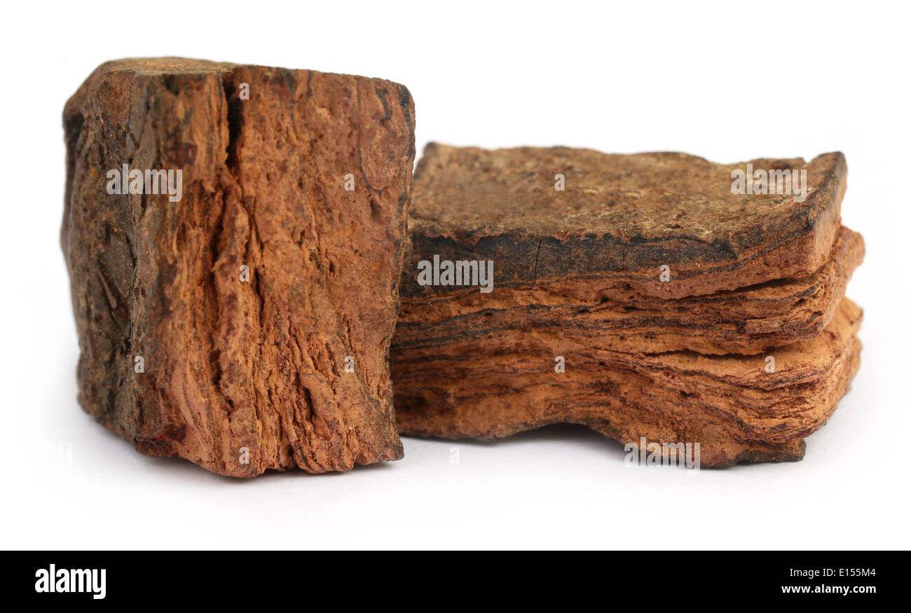 Catechu is a food additive extracted from acacia tree Stock Photo - Alamy