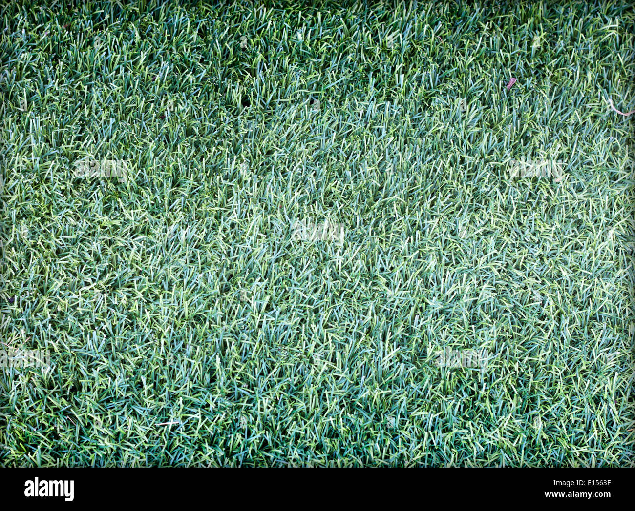 Artificial turf grass abstract green vintage sheets Stock Photo - Alamy