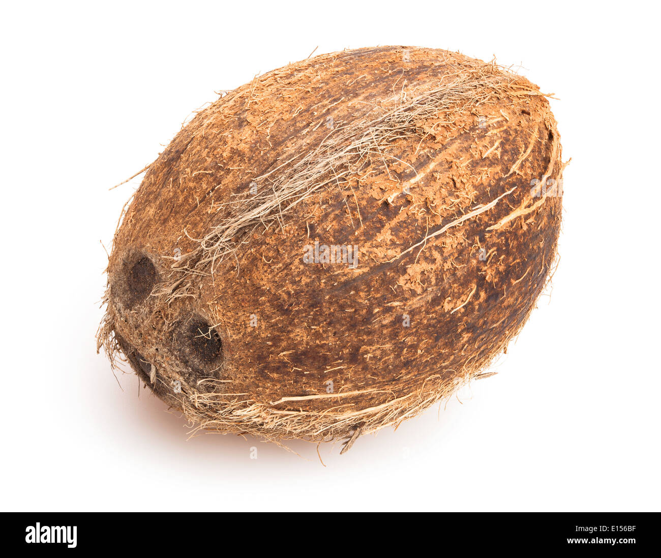 Hairy coconut hi-res stock photography and images - Alamy