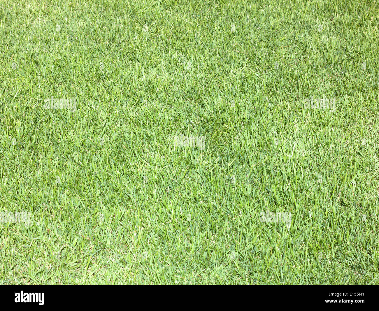 Golf course green grass grow hi-res stock photography and images - Alamy