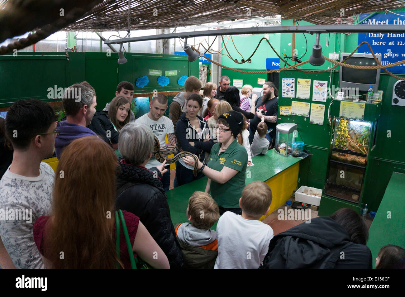 Meet the Beasties session at Gilmerton Butterfly World near Edinburgh ...