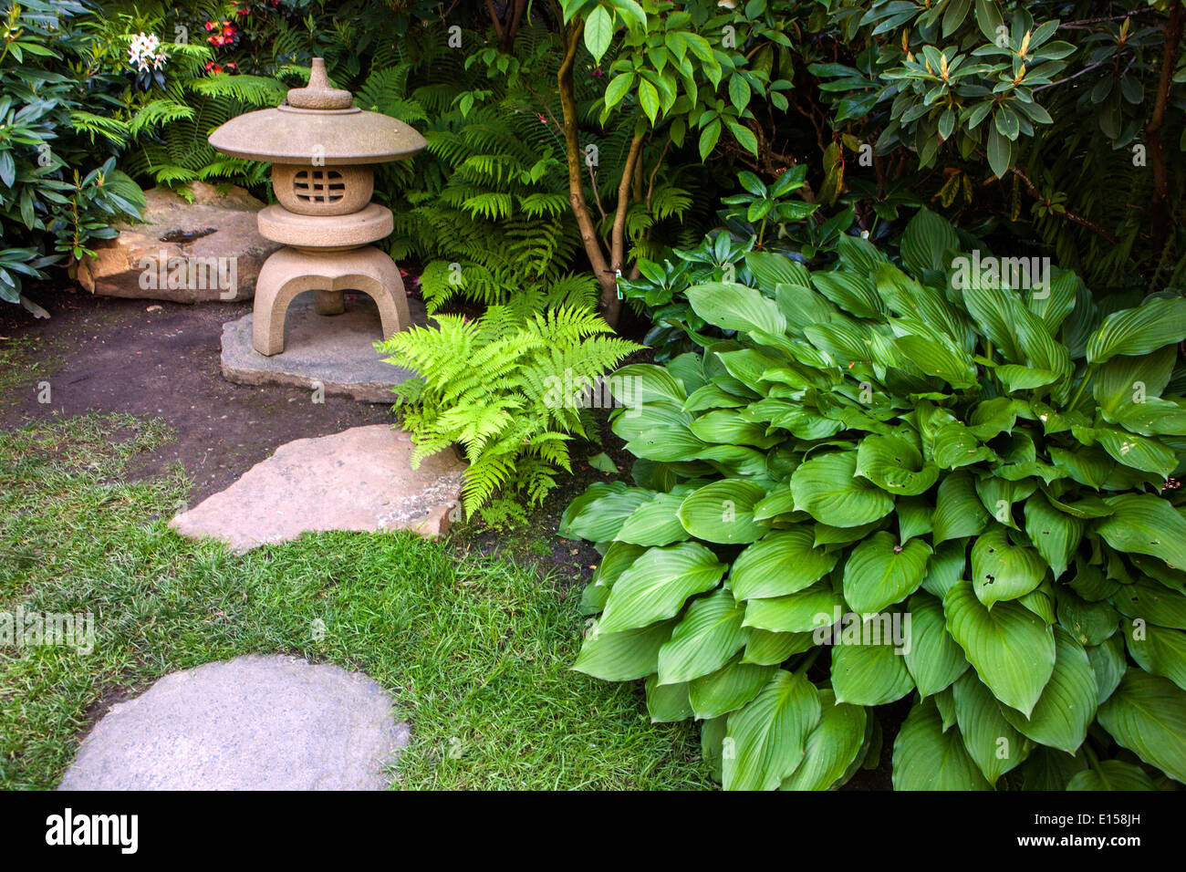 Garden path hostas hi-res stock photography and images - Alamy