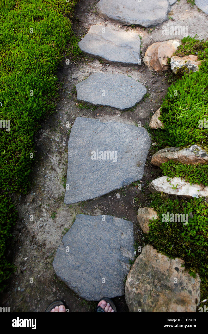 Stepping stone path in lawn hi-res stock photography and images - Alamy