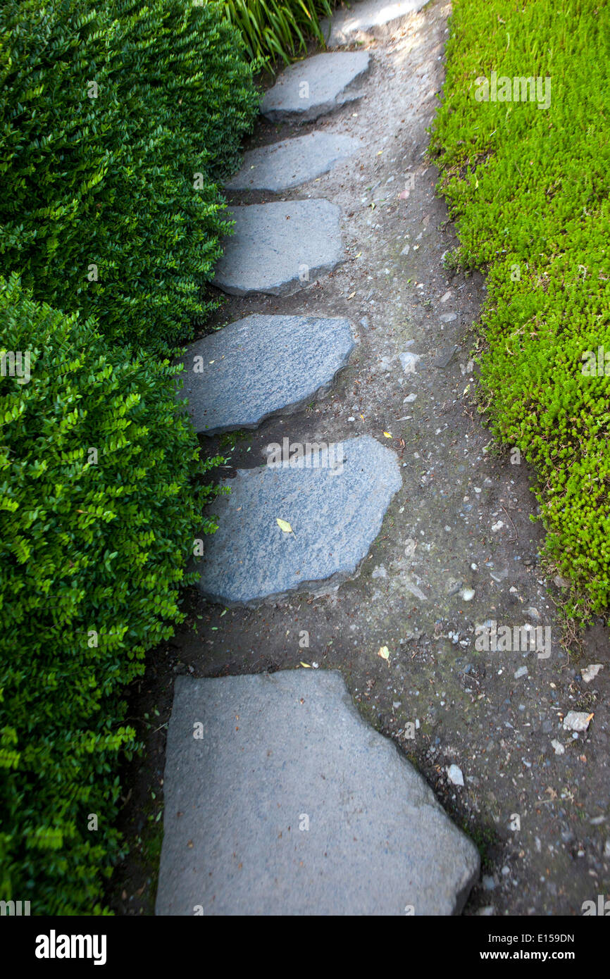 Stepping stones garden lawn border Stock Photo - Alamy