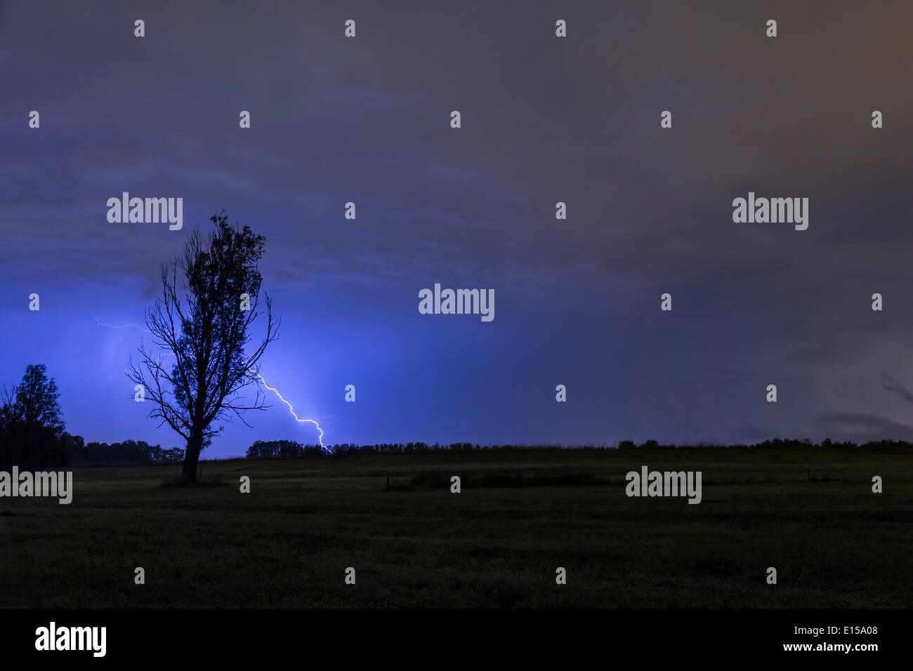 Lightning strike tree hi-res stock photography and images - Alamy