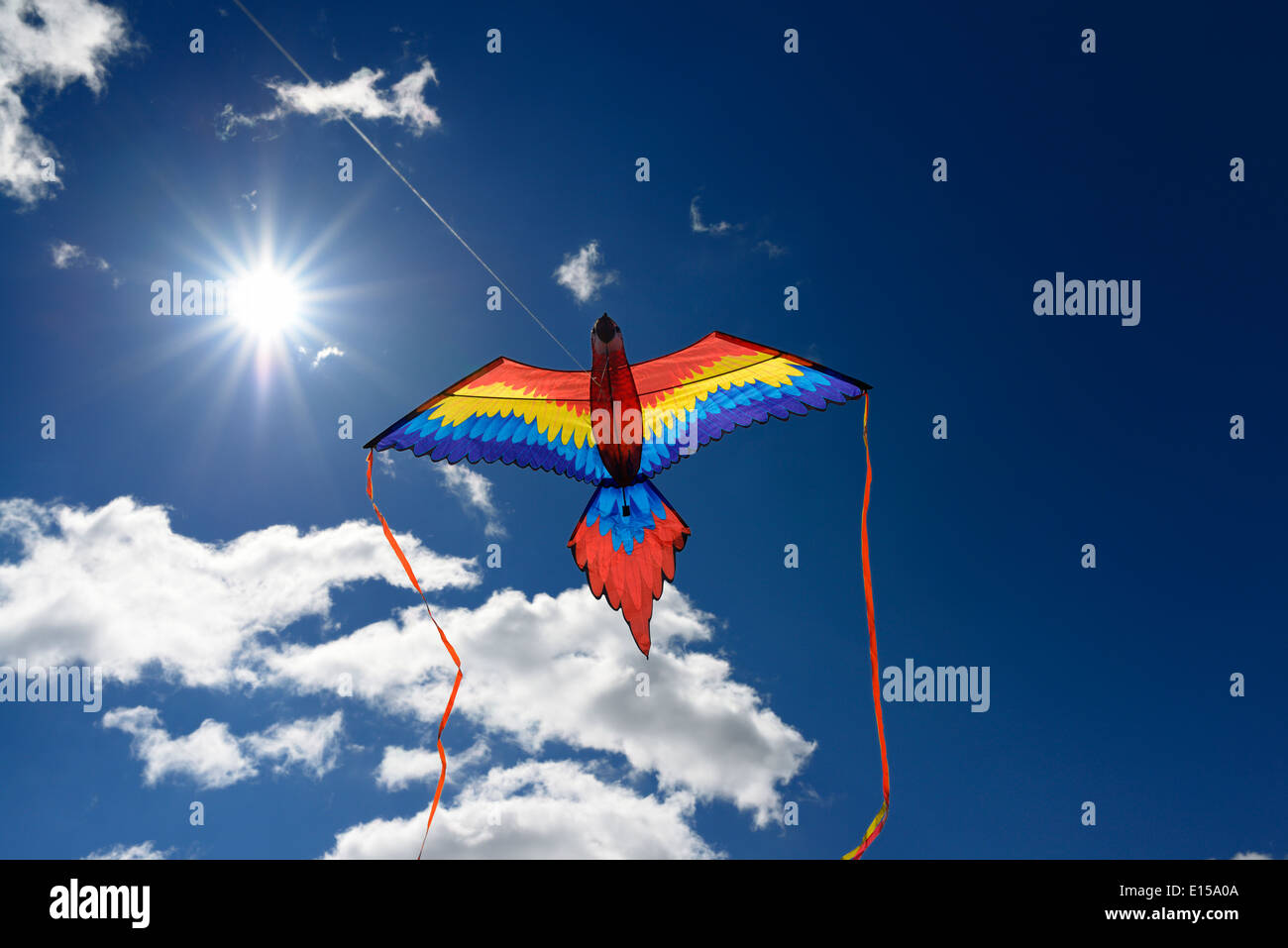 Colorful Macaw Parrot Kite flying against the sun with a blue sky in ...