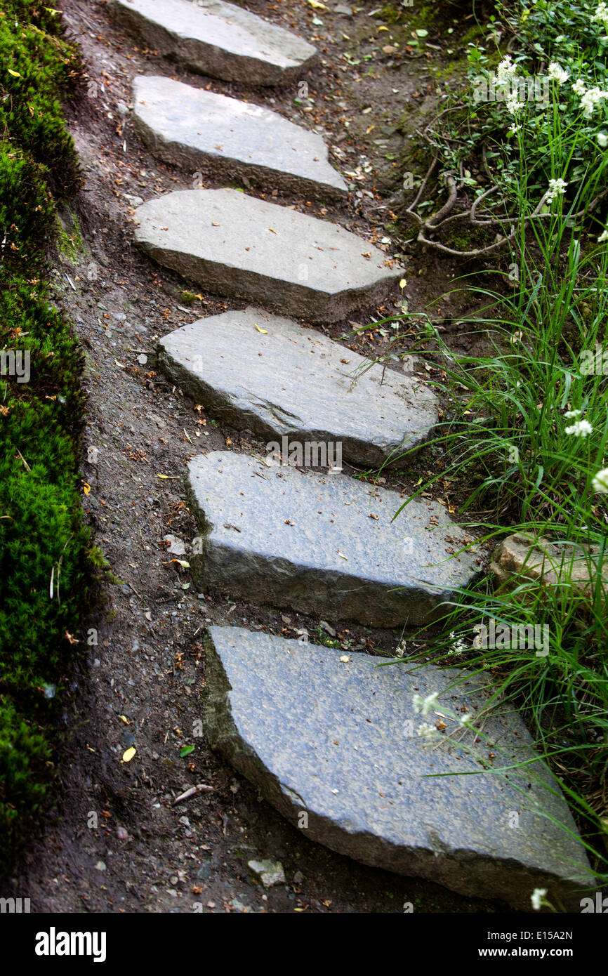 Stepping stone path in lawn hi-res stock photography and images - Alamy