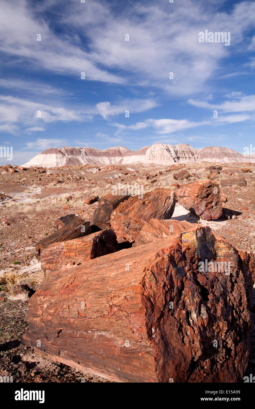 Longs log trail hi-res stock photography and images - Alamy