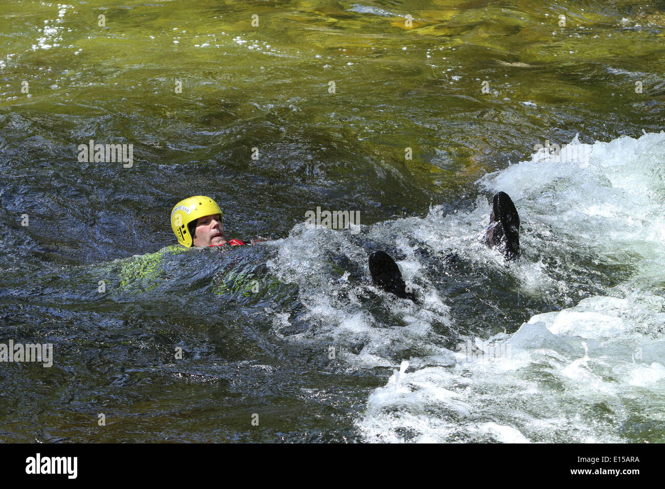 Moose foot hi-res stock photography and images - Alamy