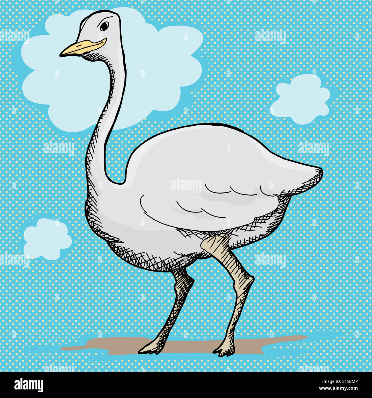 Ostrich Vine Voice Over