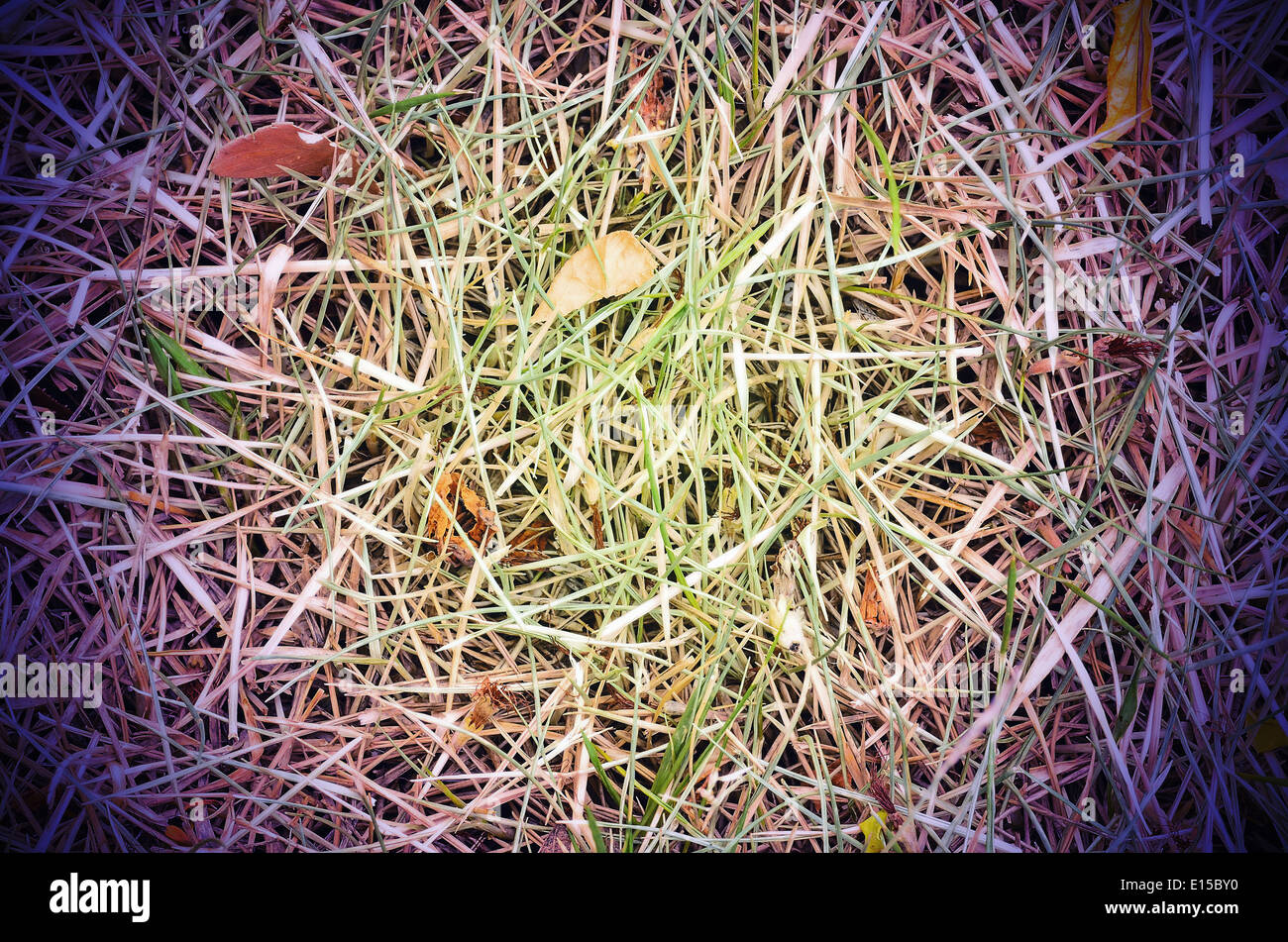 hay texture background Stock Photo - Alamy