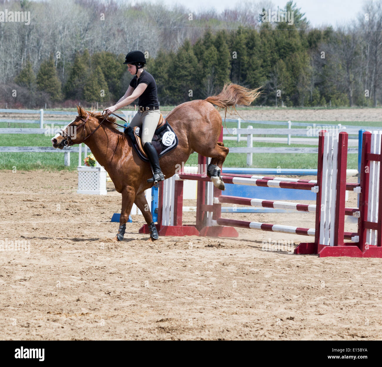 Oxer Hi Res Stock Photography And Images Alamy