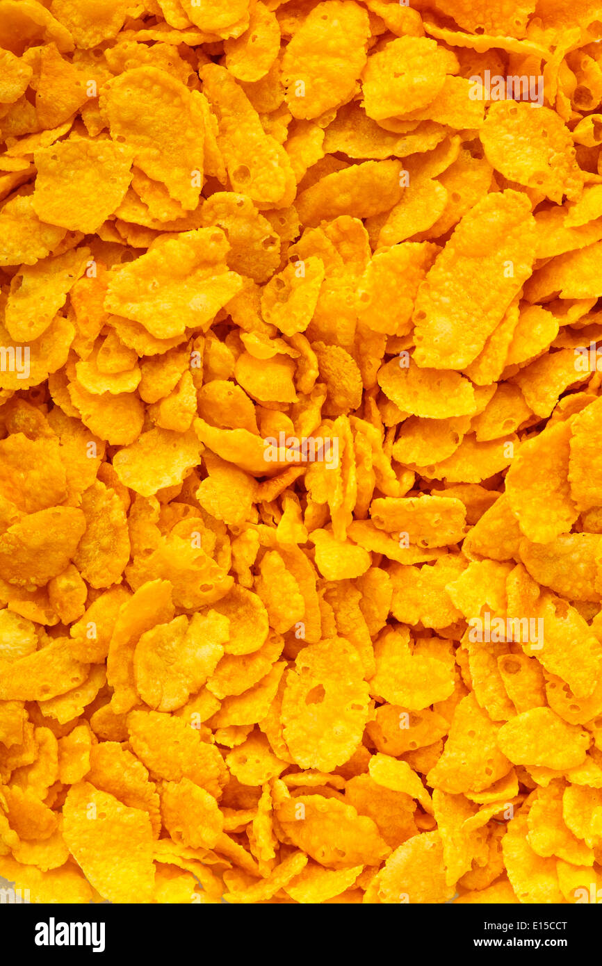 Closeup of many corn flakes breakfast morning meal as food background ...