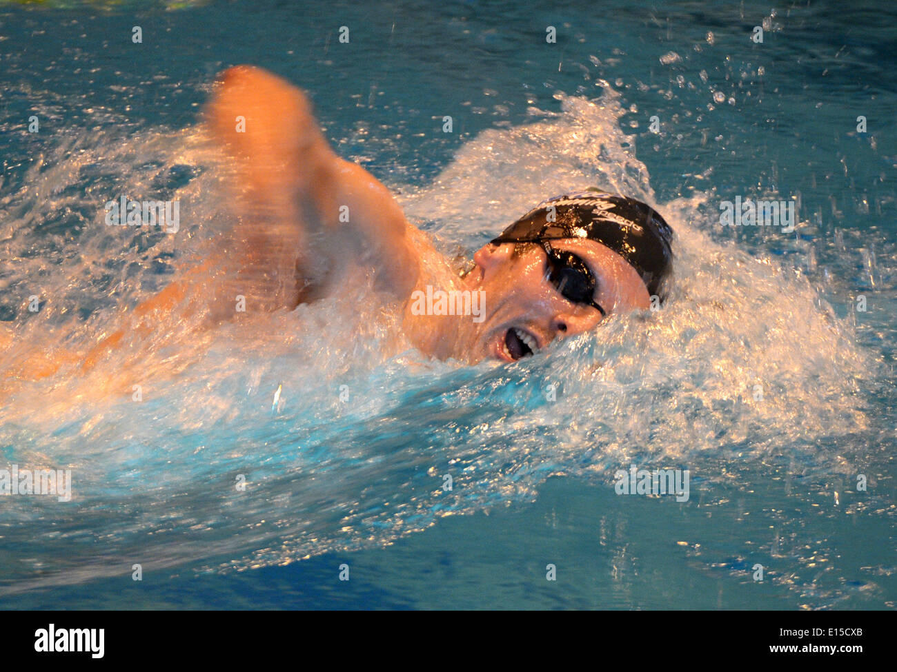 Mel zajac hi-res stock photography and images - Alamy