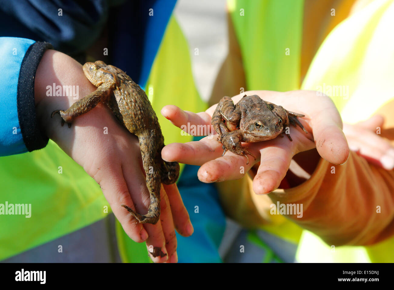 Rescue vest hi-res stock photography and images - Alamy