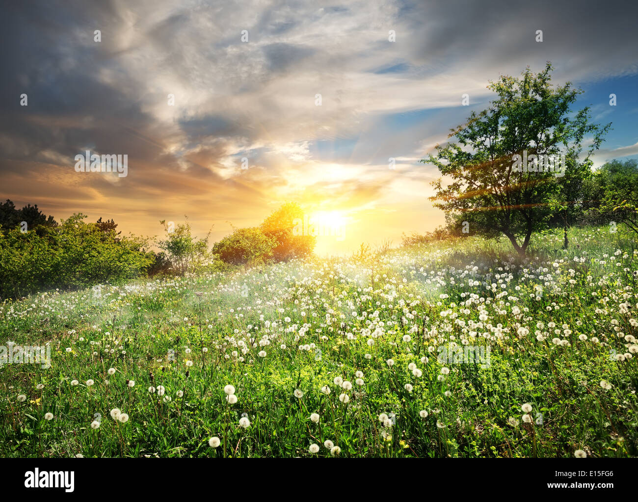 Sunrise over farm field hi-res stock photography and images - Alamy