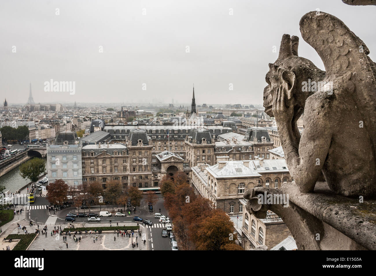 Gargoyle view from Notre Dame Cathedral in Paris Stock Photo - Alamy