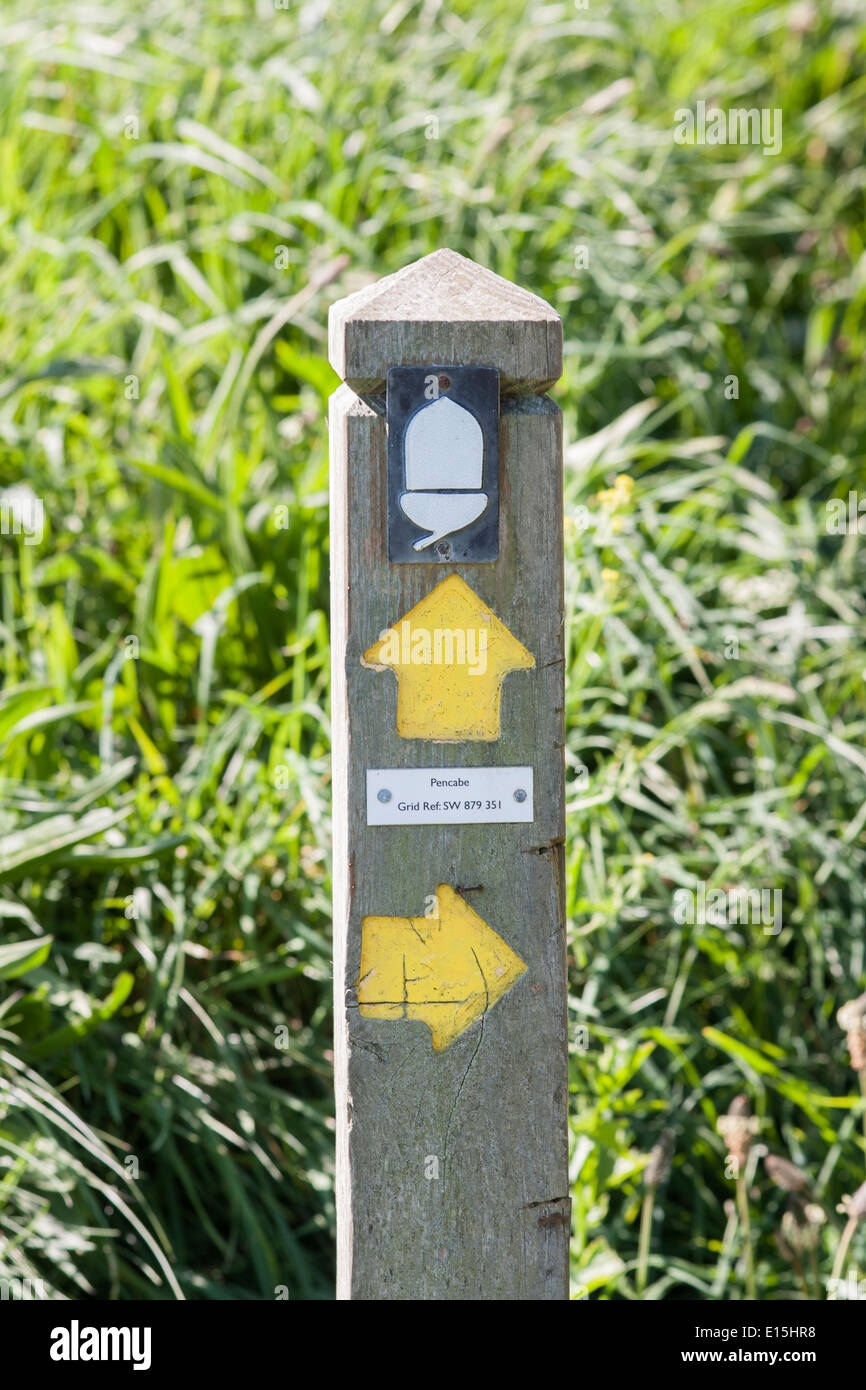 Waymarker on the South West Coast path Cornwall Stock Photo - Alamy