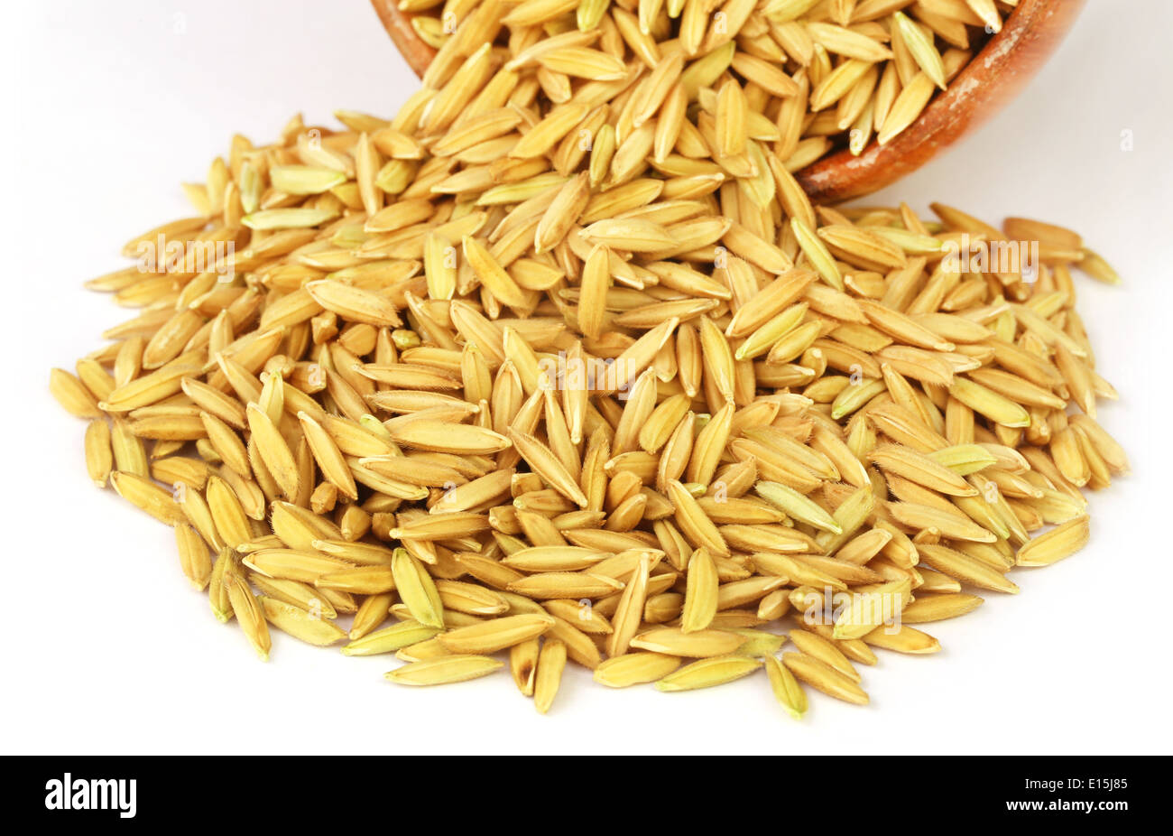 Paddy seeds isolated hi-res stock photography and images - Alamy