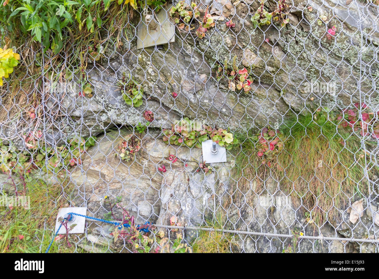Rock anchors and steel mesh designed to prevent rocks falling in ...