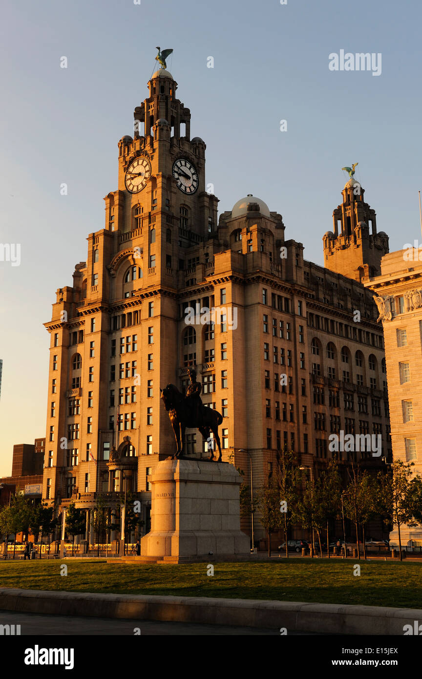 Liverbuilding hi-res stock photography and images - Alamy
