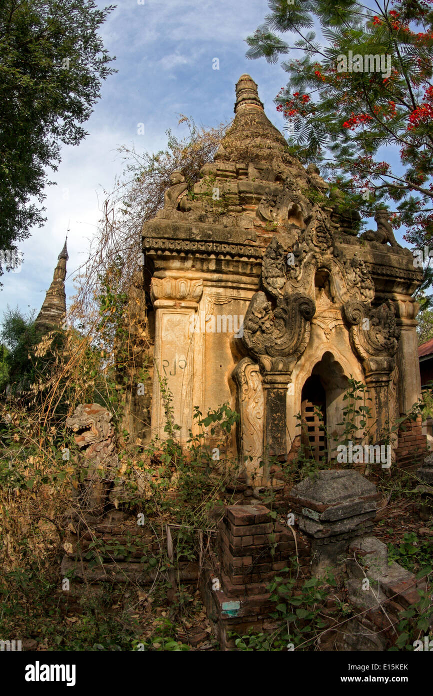 Overgrown Pagoda Paleik close to Mandalay Myanmar Burma Stock Photo - Alamy
