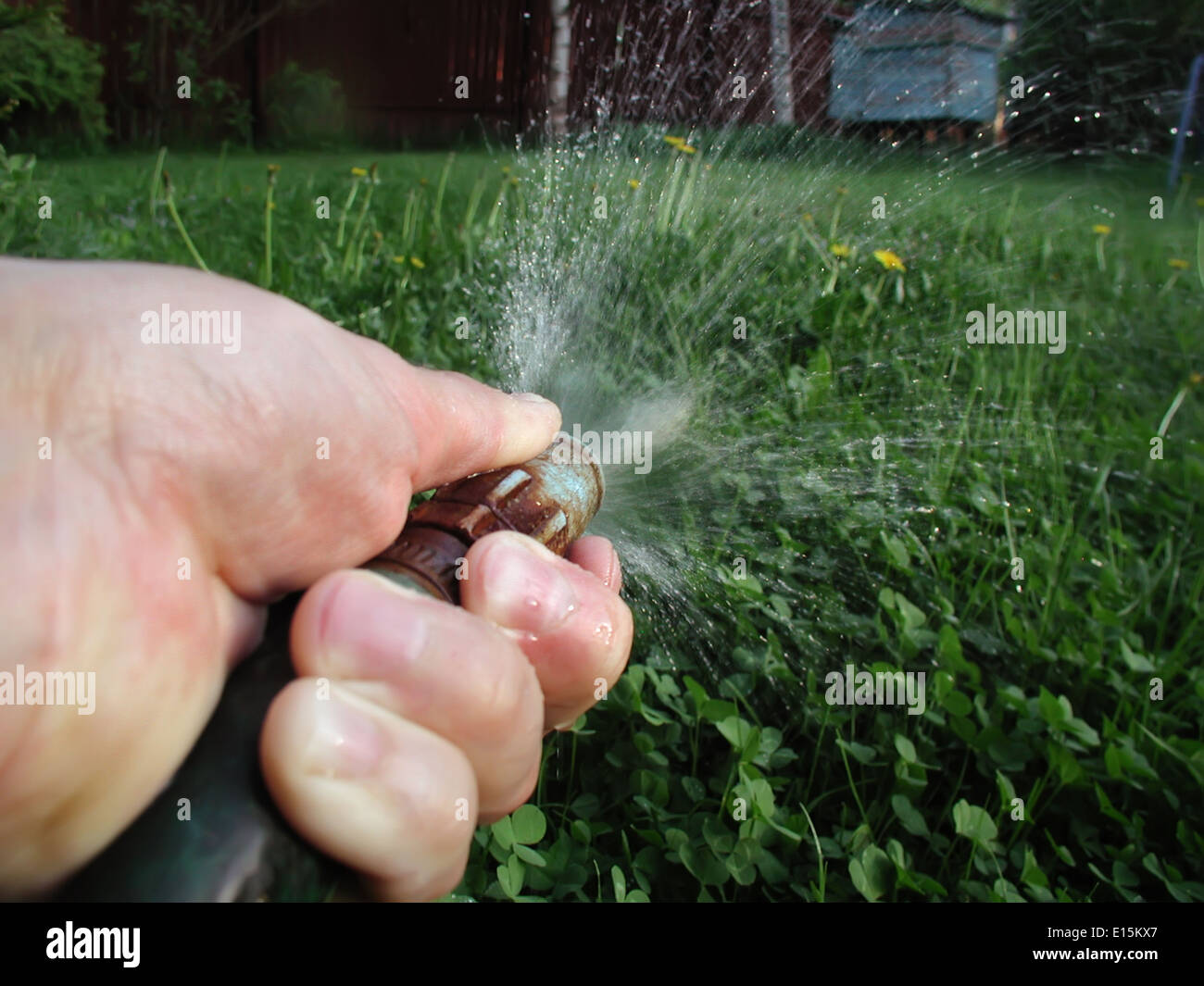 Hand garden hose watering trees hi-res stock photography and images - Alamy