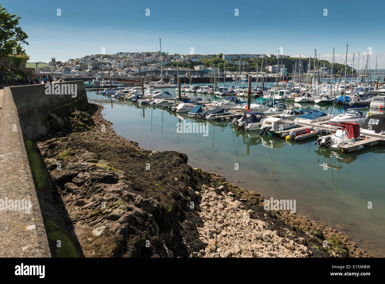 Devon harbour hi-res stock photography and images - Alamy