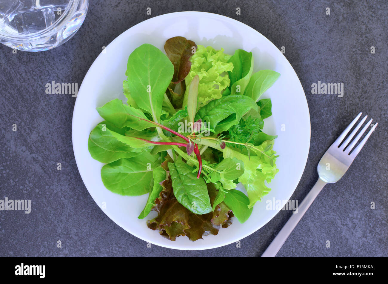 Fresh baby greens in a mesclun salad on blue granite background Stock ...