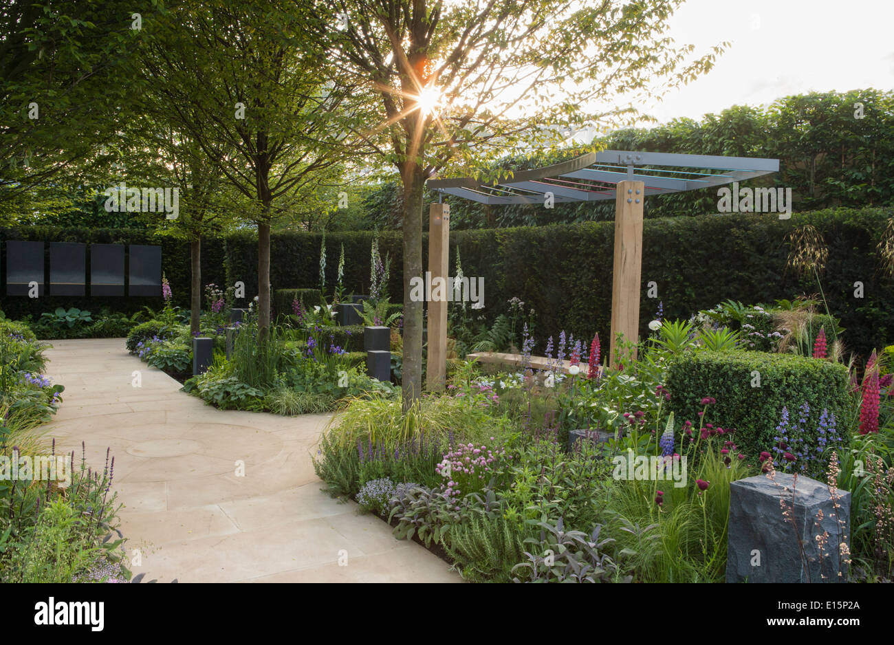 A modern garden at sunrise with a contemporary garden path and mixed ...