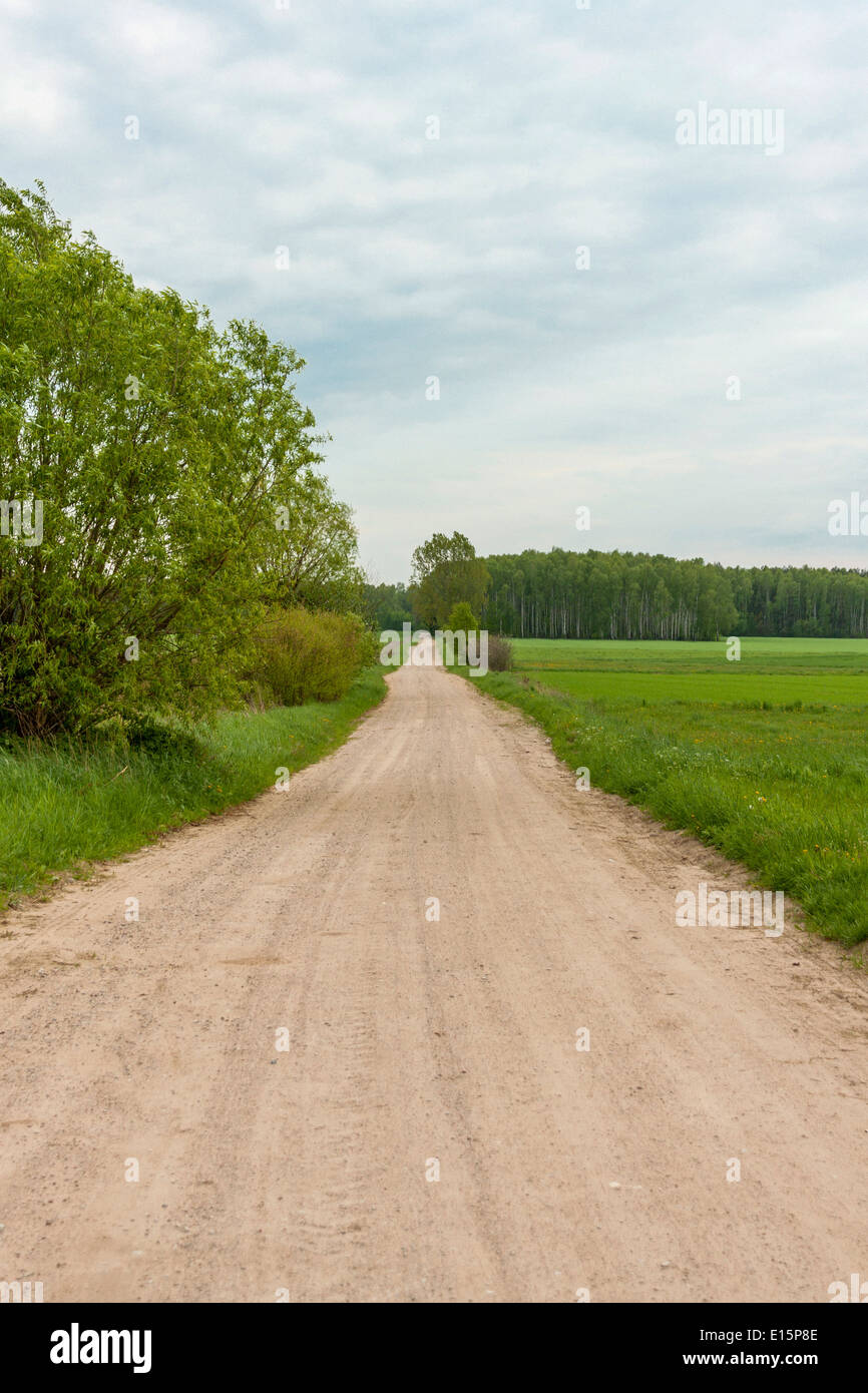 Shingle Gravel High Resolution Stock Photography and Images - Alamy